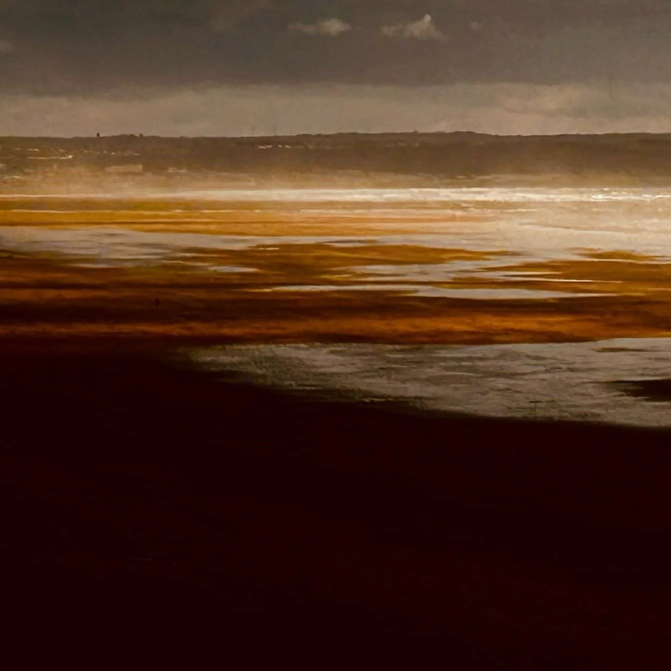 eleanor rankin dailey