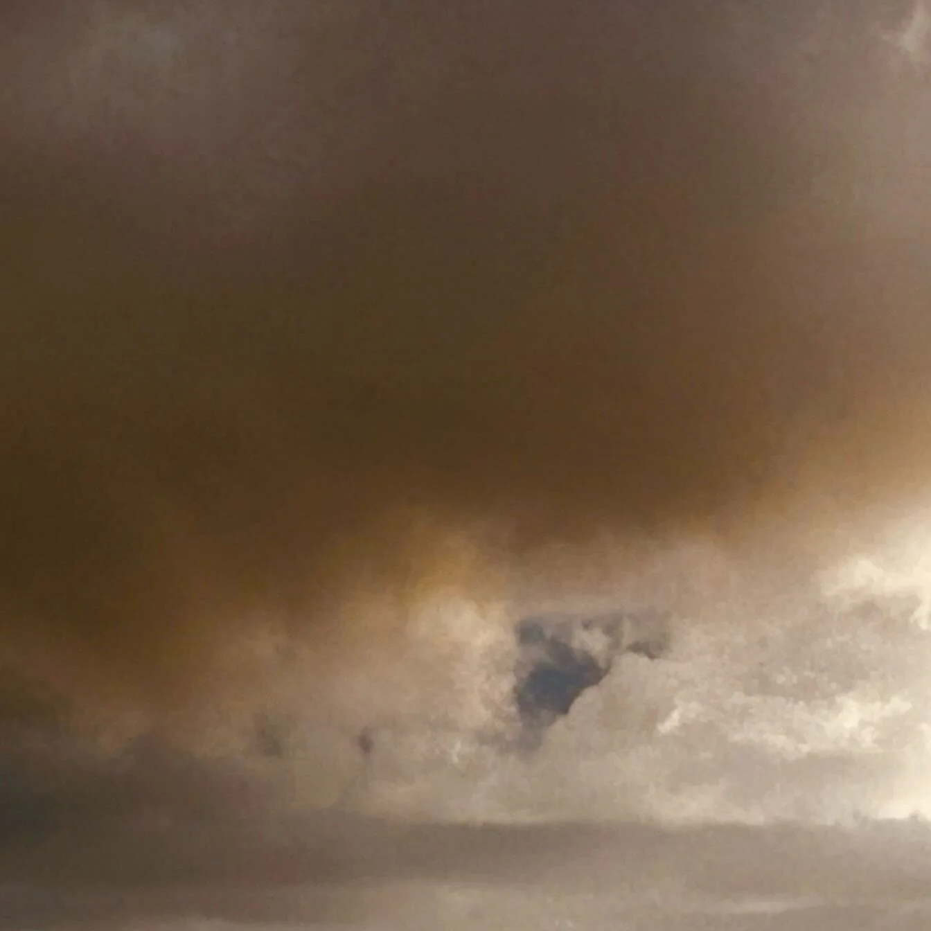 eleanor rankin dailey