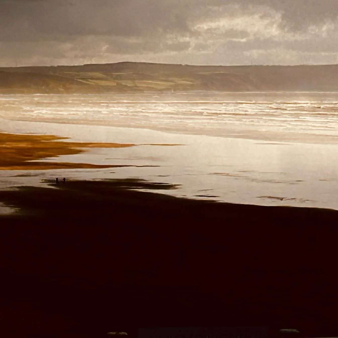 eleanor rankin dailey