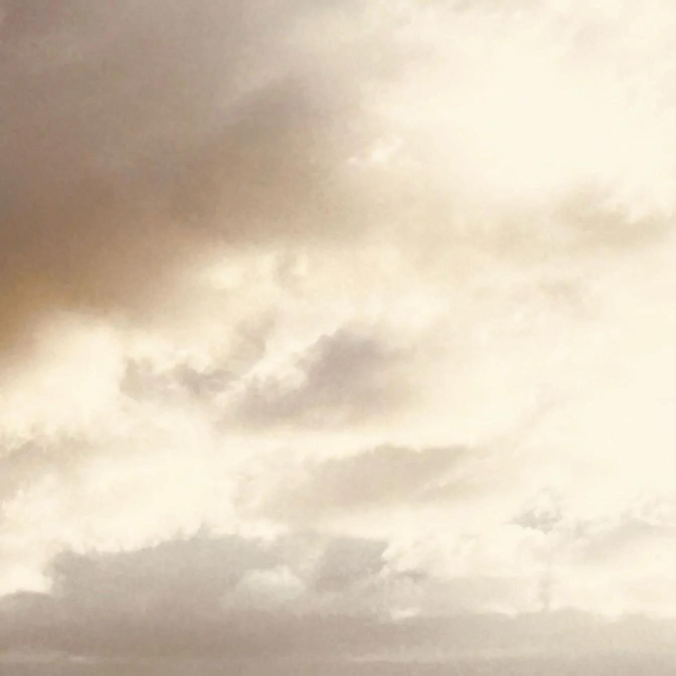 eleanor rankin dailey