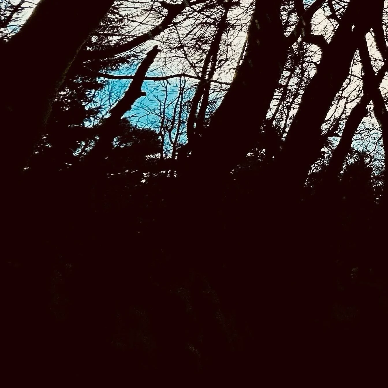 eleanor rankin dailey