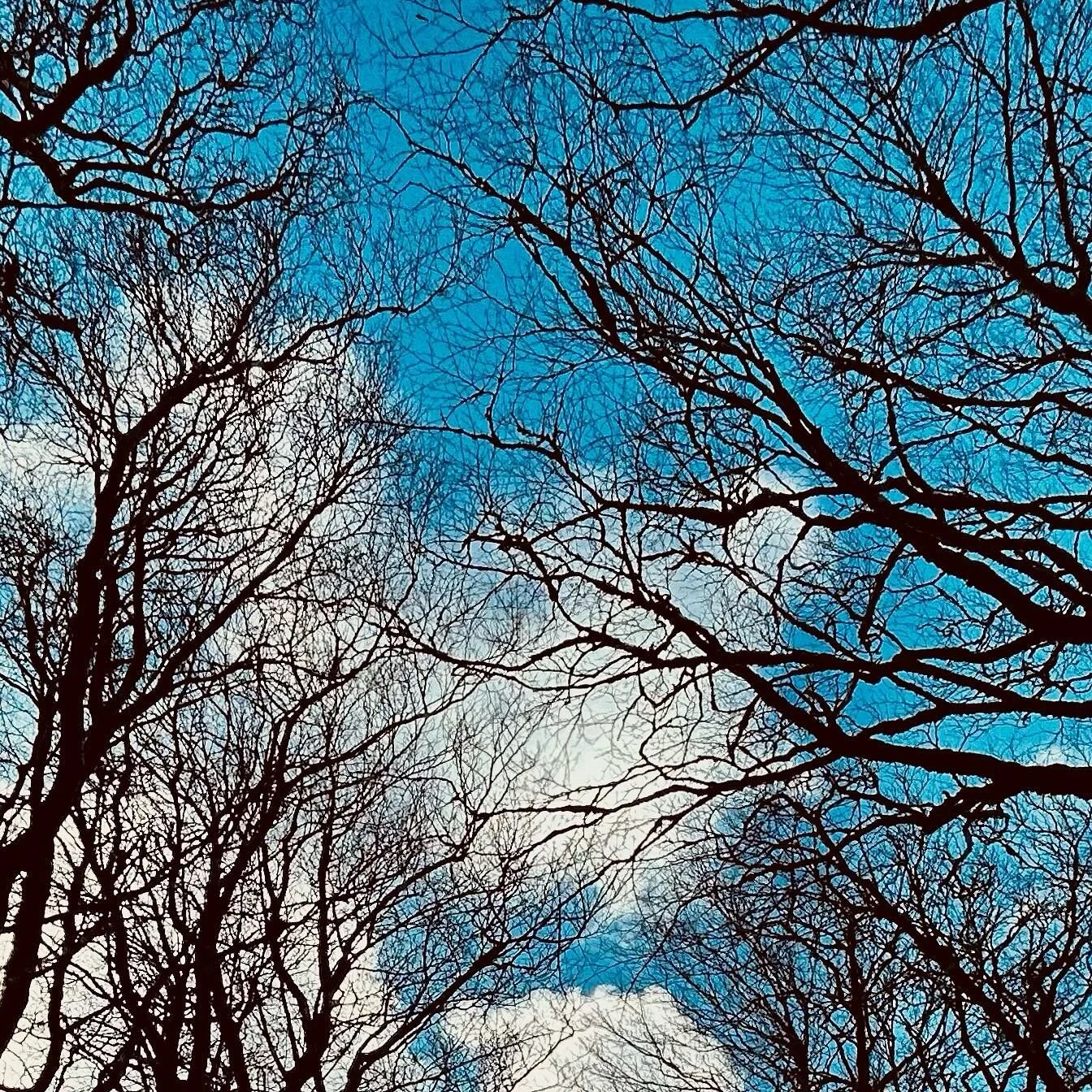 eleanor rankin dailey