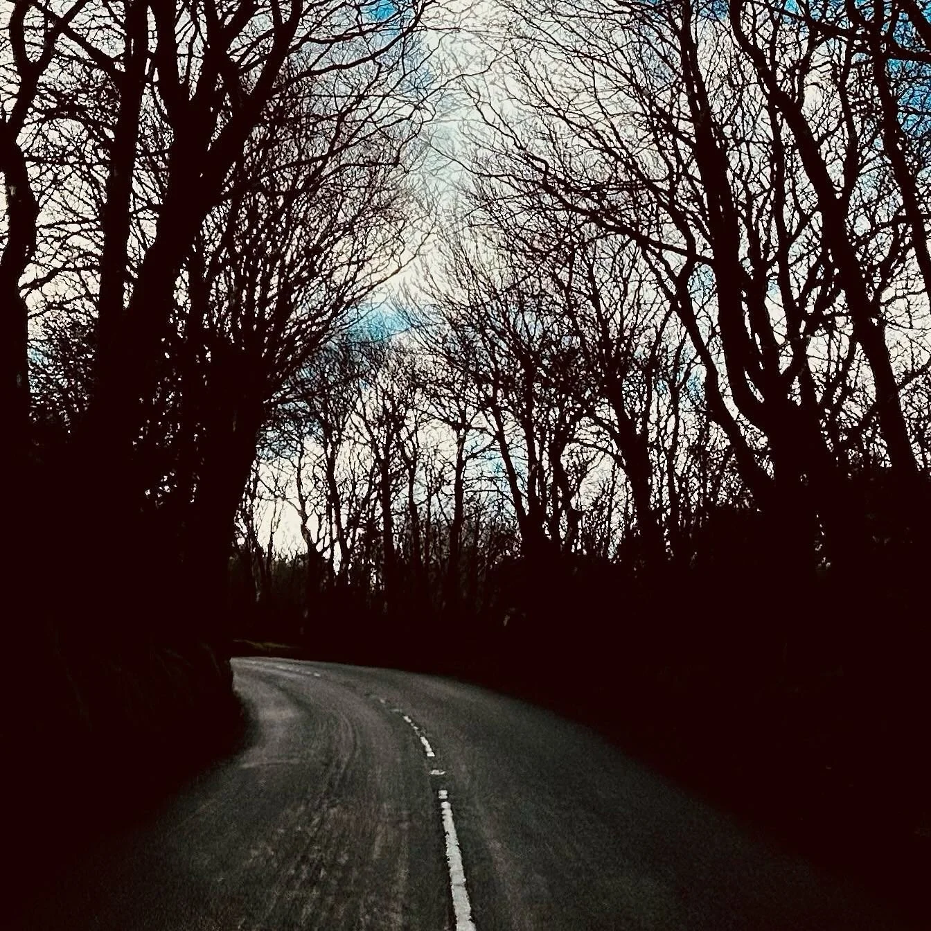 eleanor rankin dailey