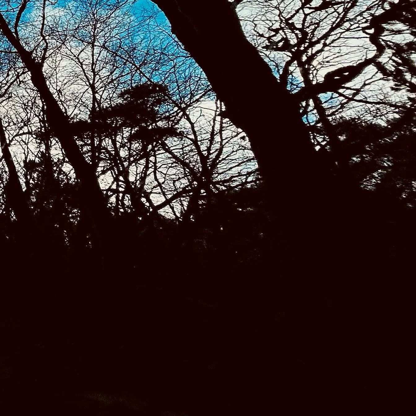 eleanor rankin dailey