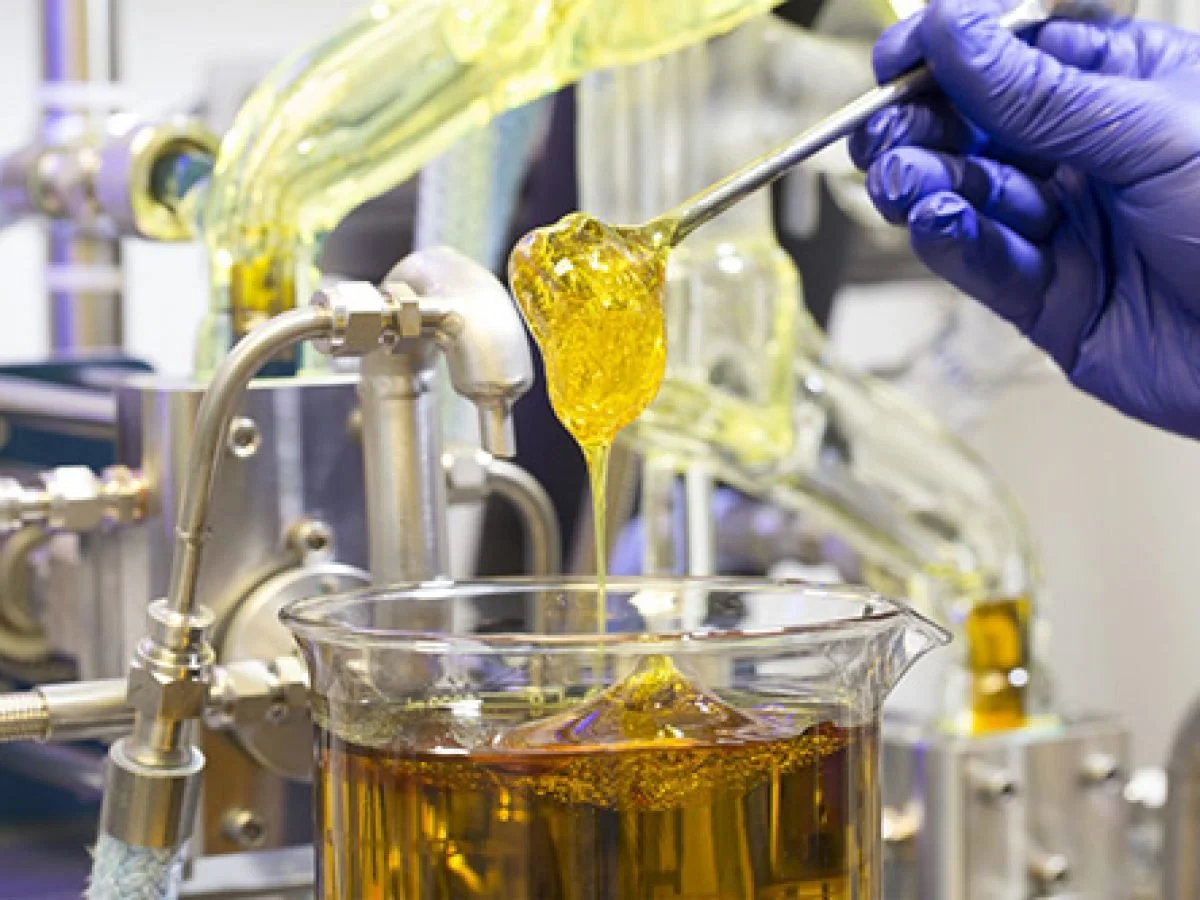 Cilo Cybin: Personalized Healthcare Solutions, Medical Cannabis ...