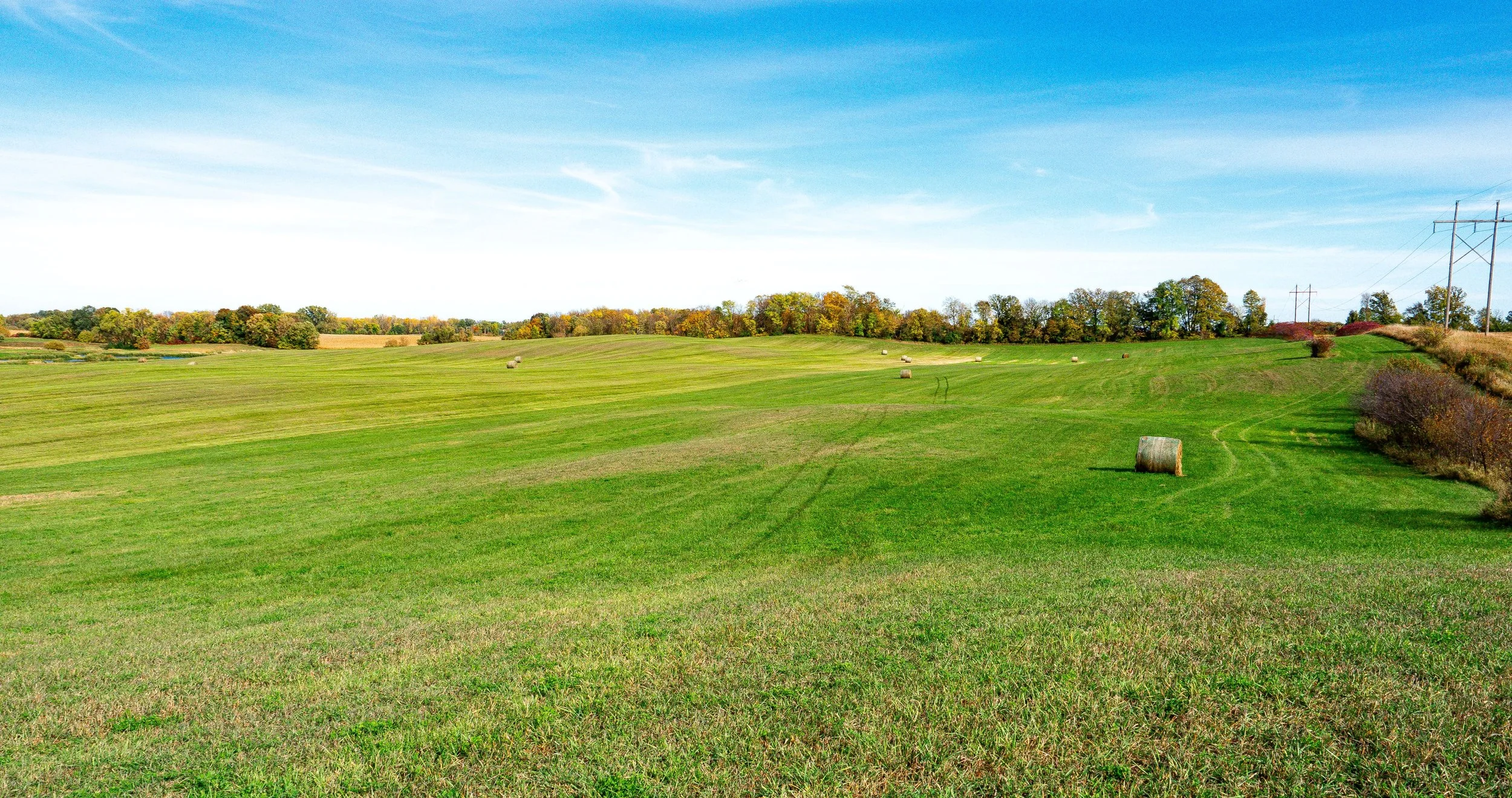 Grounds — Rookie Retriever Grounds