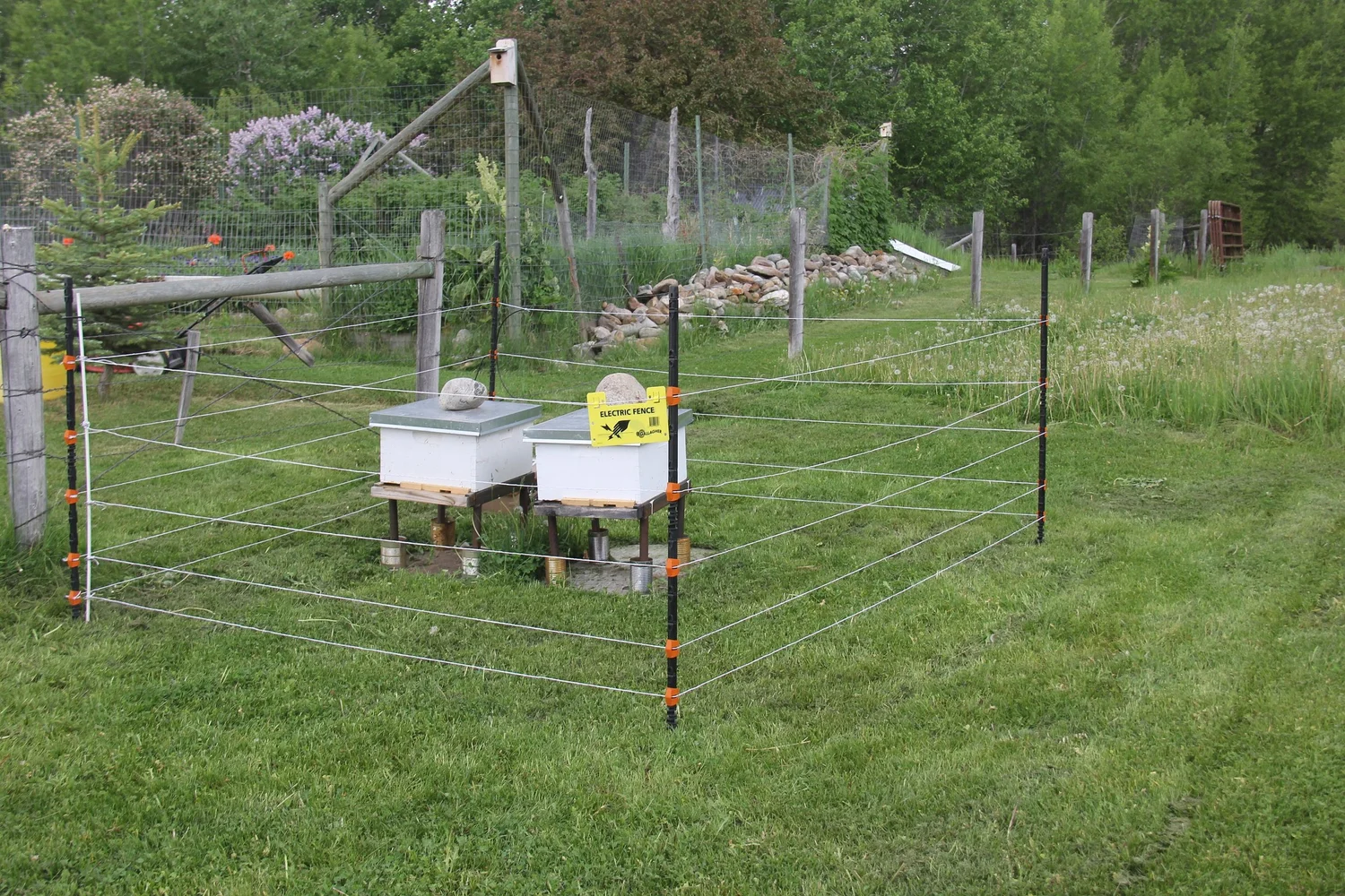 Beekeeping — Get Bear Smart