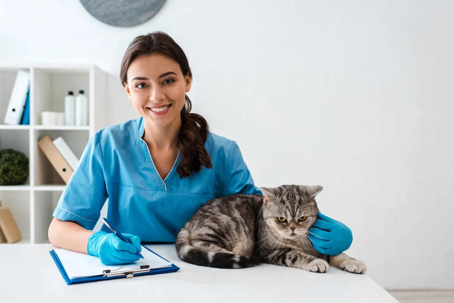 Buy or Sell a Veterinary Hospital, Medical or Dental Practice