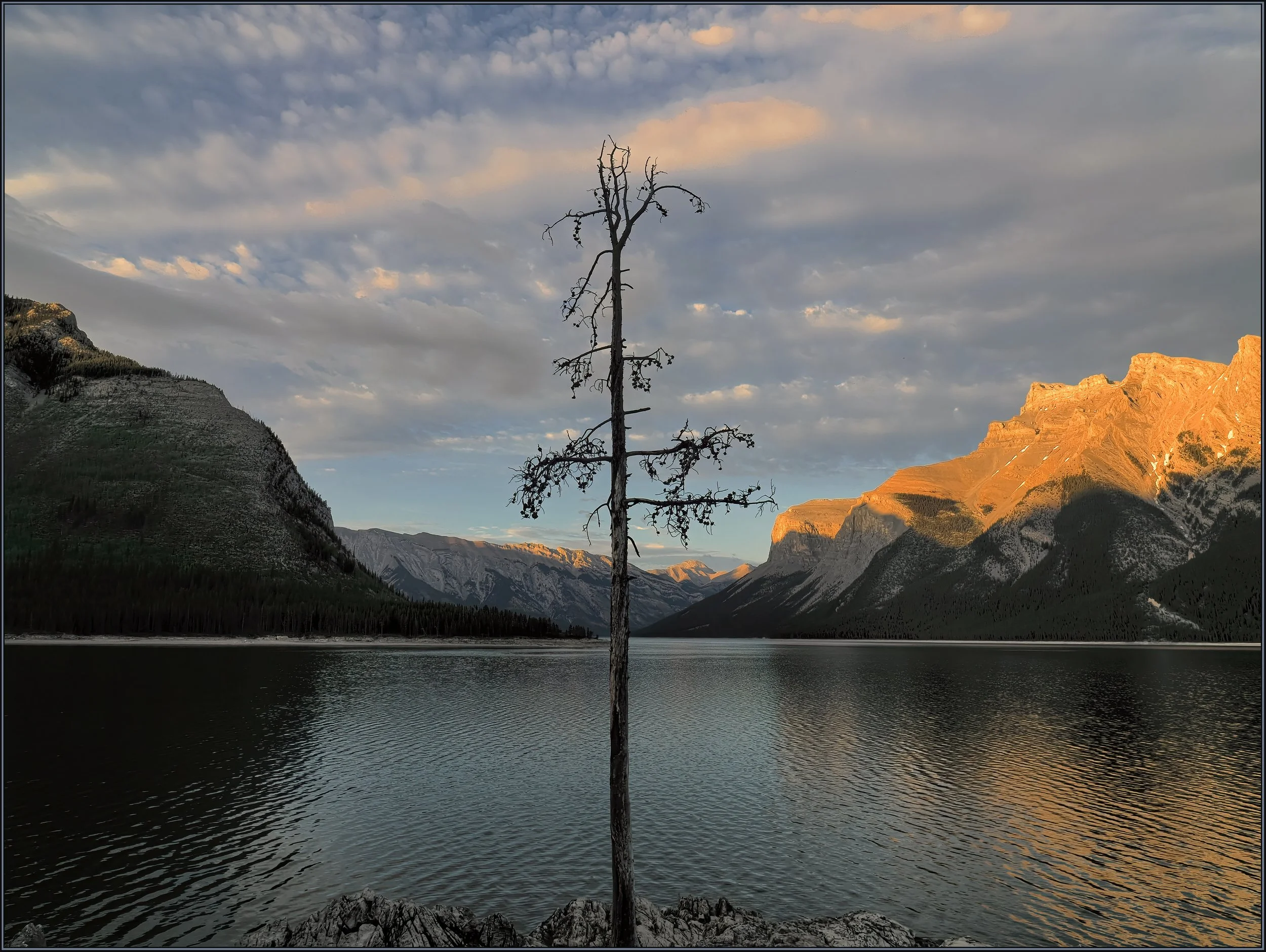 Gallery 3 — Morban Images