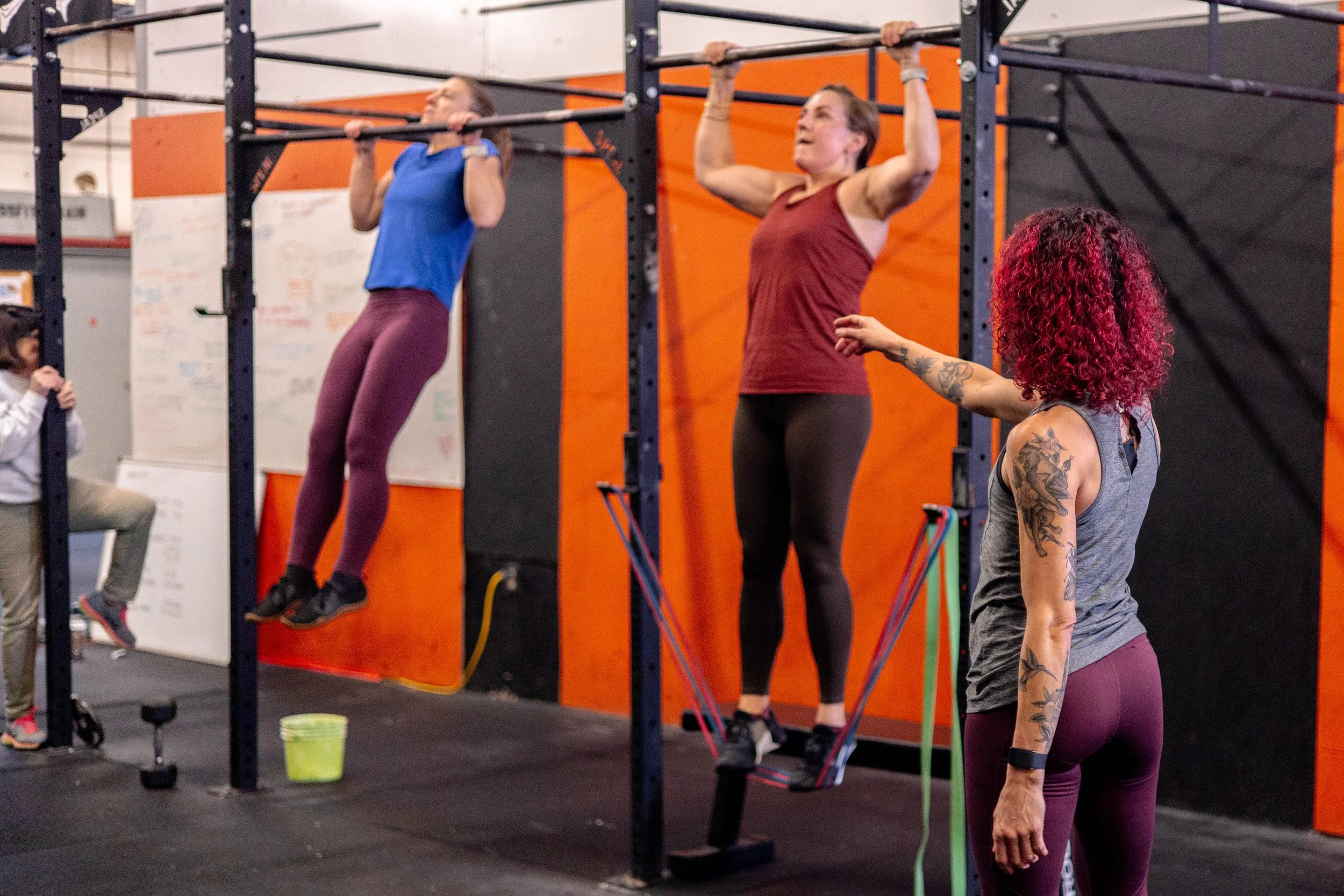 Classes — Grace and Grit Training