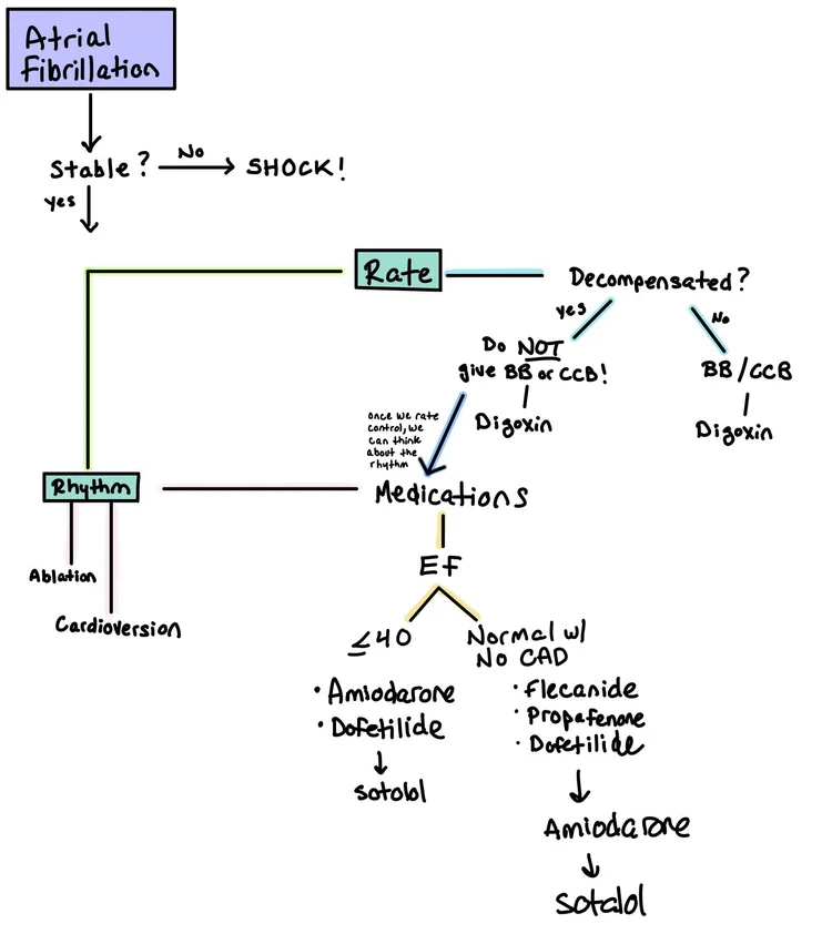 Atrial Fibrillation (AF) Medications — When the Beat Drops: A Resident ...