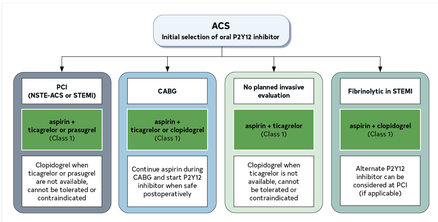 Anticoagulation And Anti platelets When The Beat Drops A Resident s
