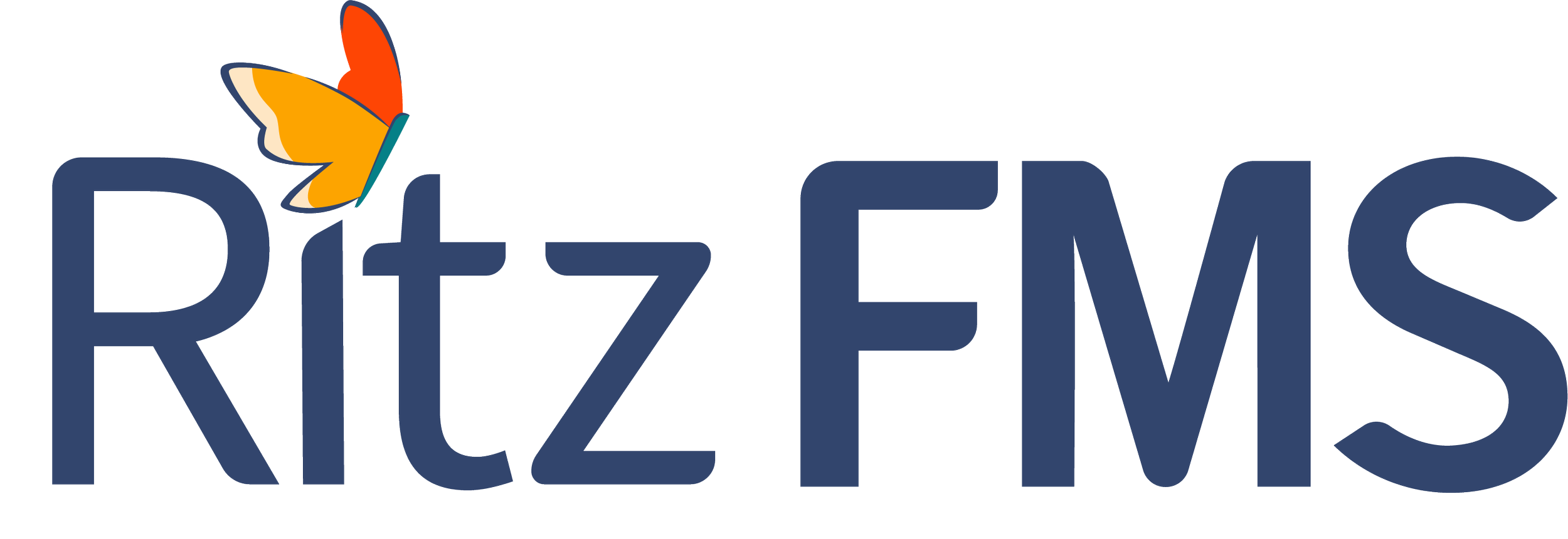 Register — Ritz FMS