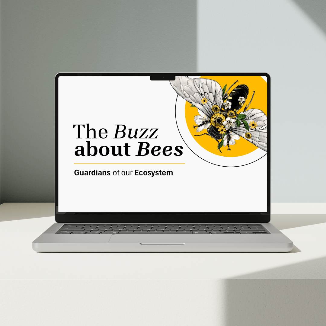 Case studies — Presentation Studio