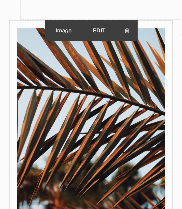 4 Ways To Crop Images In Squarespace Using CSS — Be Creative