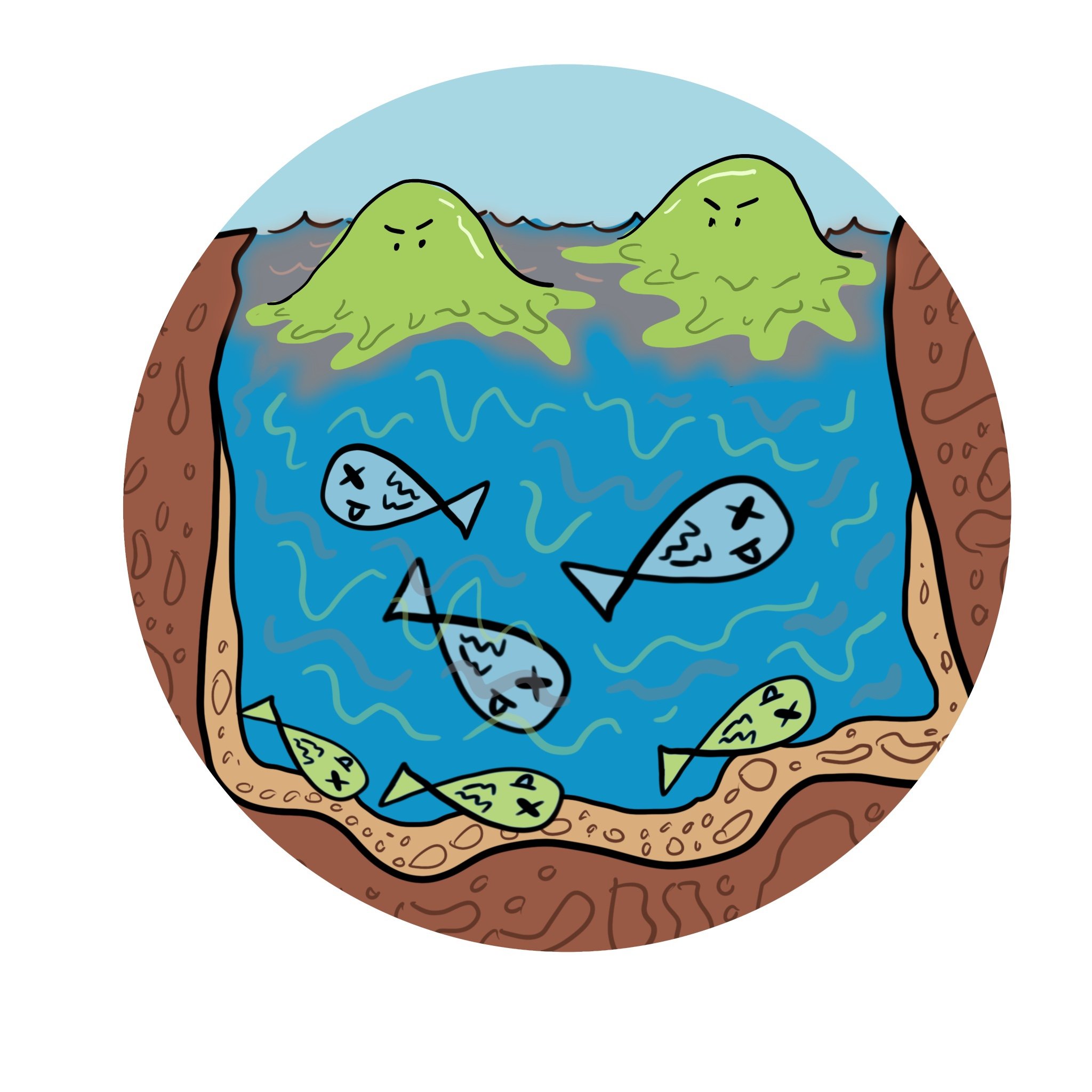 understand-the-issue-windermere-water-quality-toolkit
