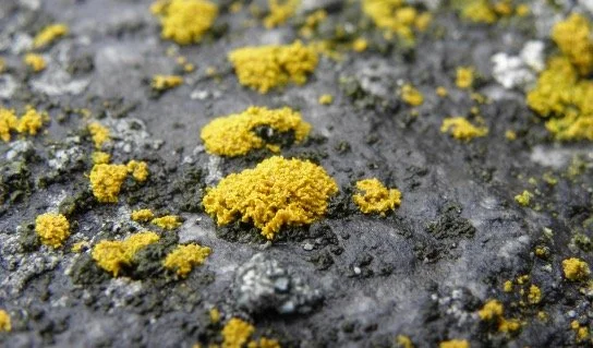 Traverse the Liathach Ridge - Torridon's Iconic Scramble — Nordur