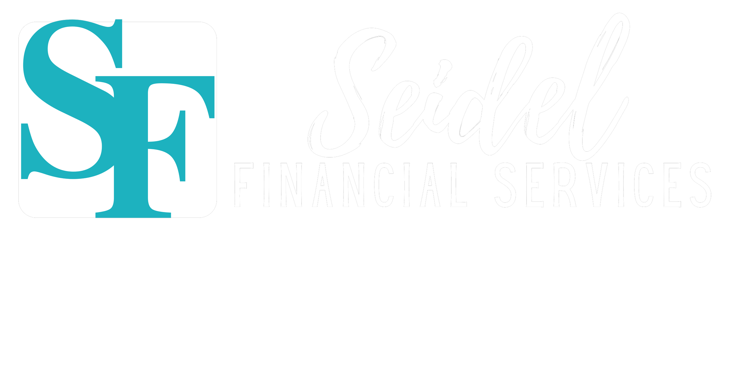 Texas CFO Services | Bookkeeping Services — Seidel Financial Services