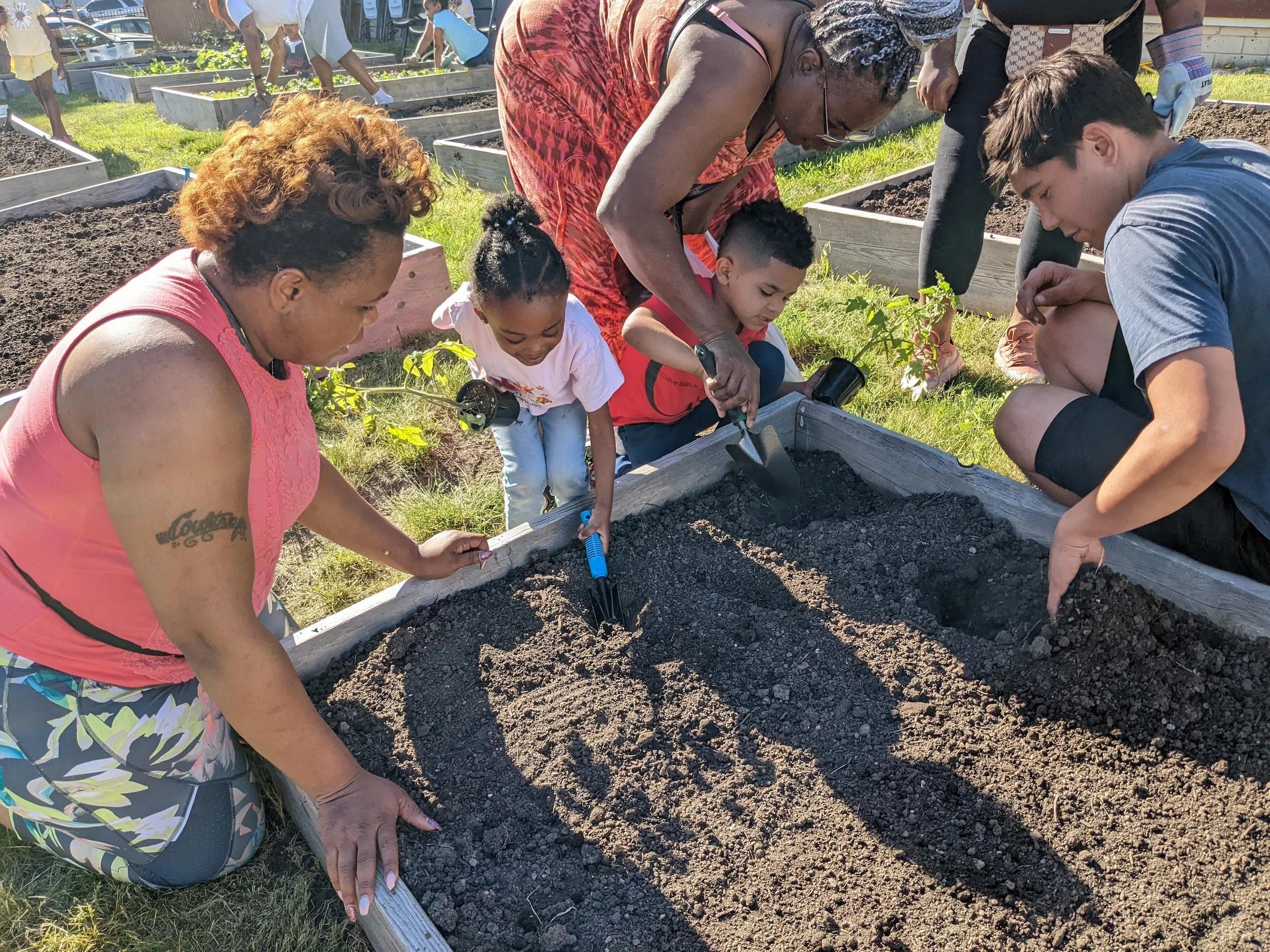 Rooted & Rising Washington Park