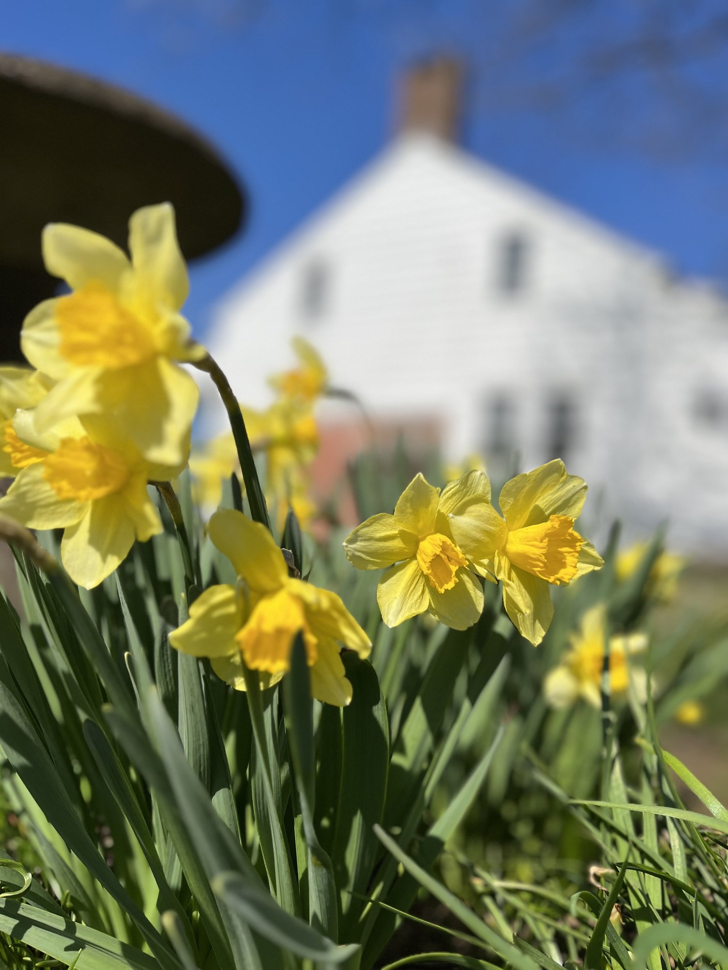 Gallery 1 — Roseland Historical Society