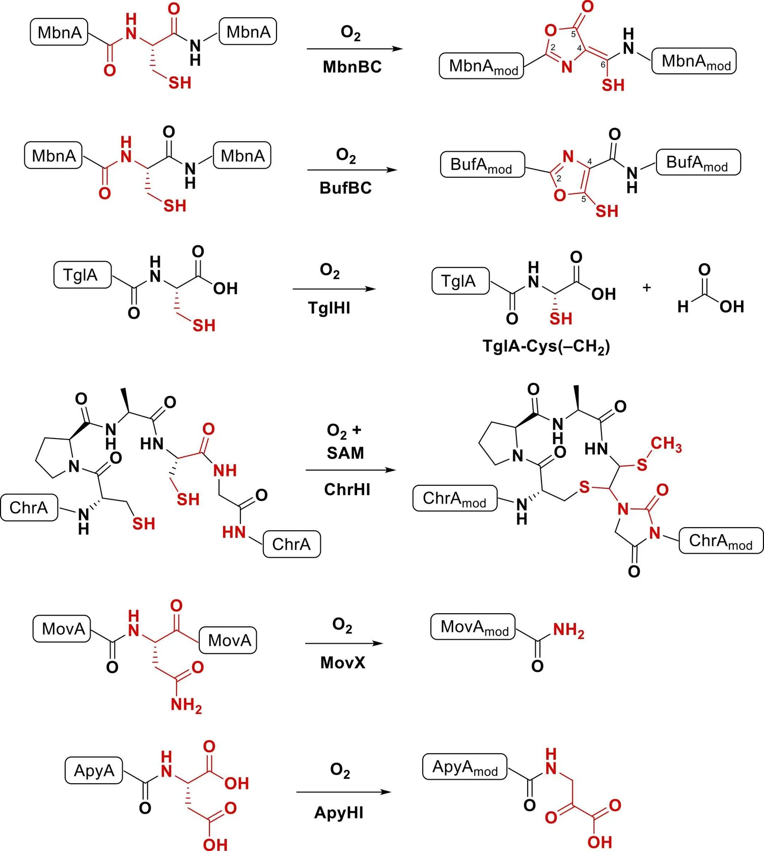 Publications — The van der Donk Lab