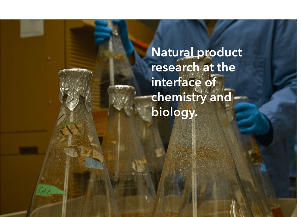 The van der Donk Lab