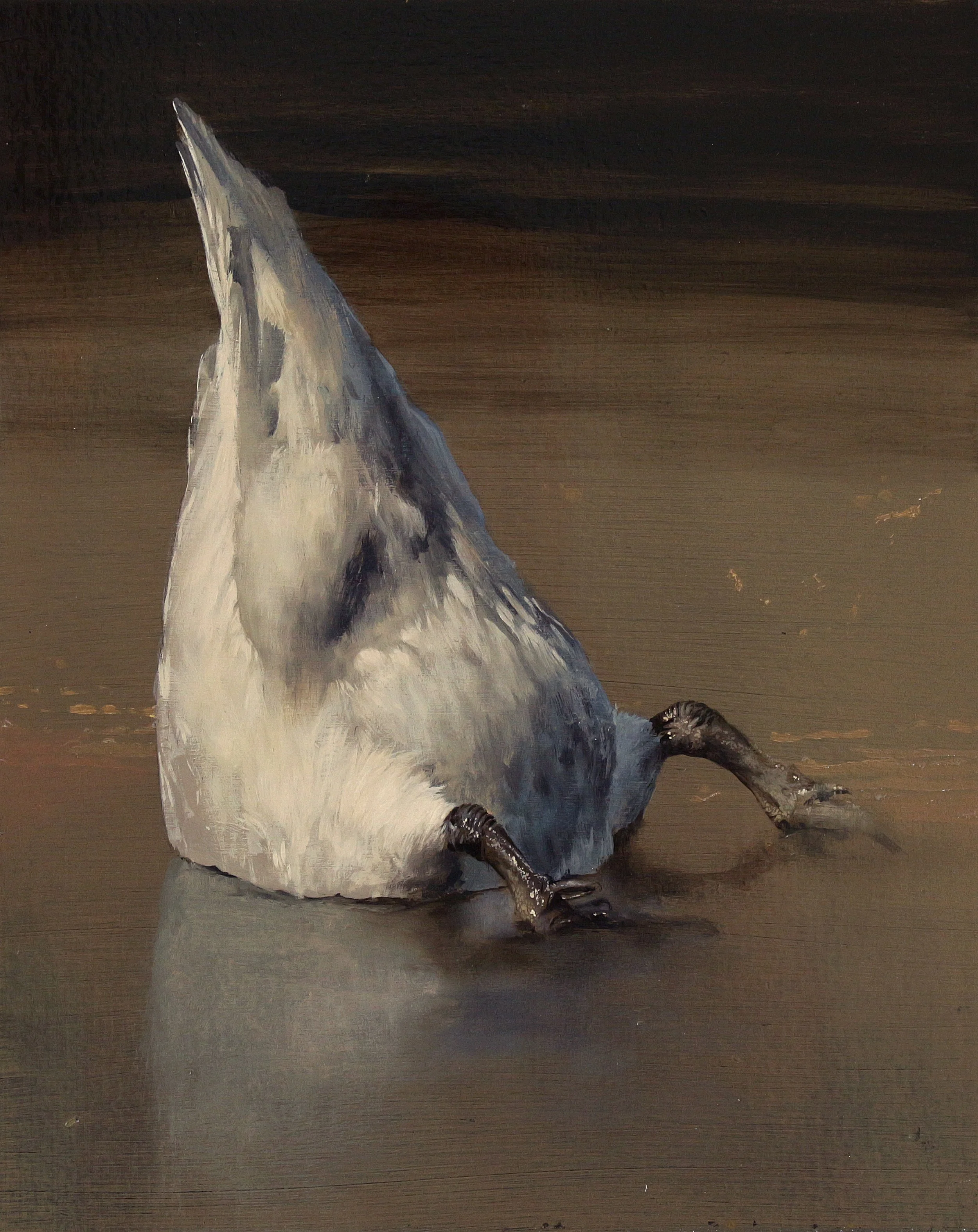 Selected Work — Steven Peters Caraballo