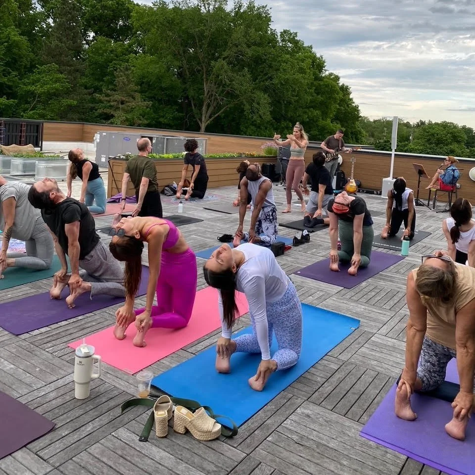 Bloomfield Yoga Studio | Citizen Yoga
