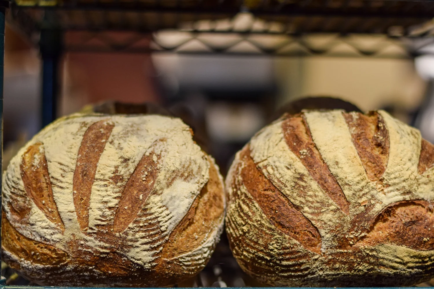 Broken Rocks Cafe & Rox Gastropub