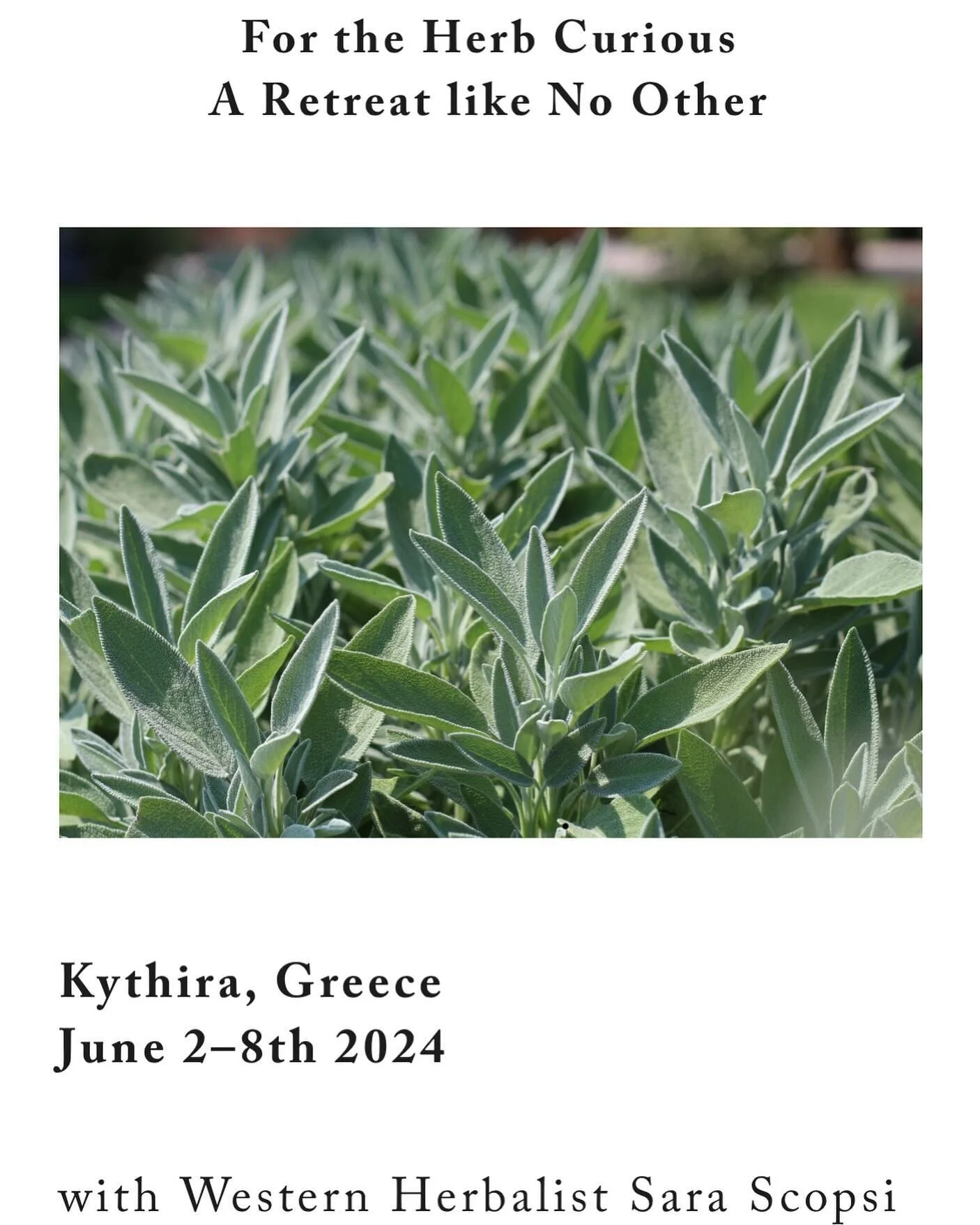 Elixir Herbal Retreat