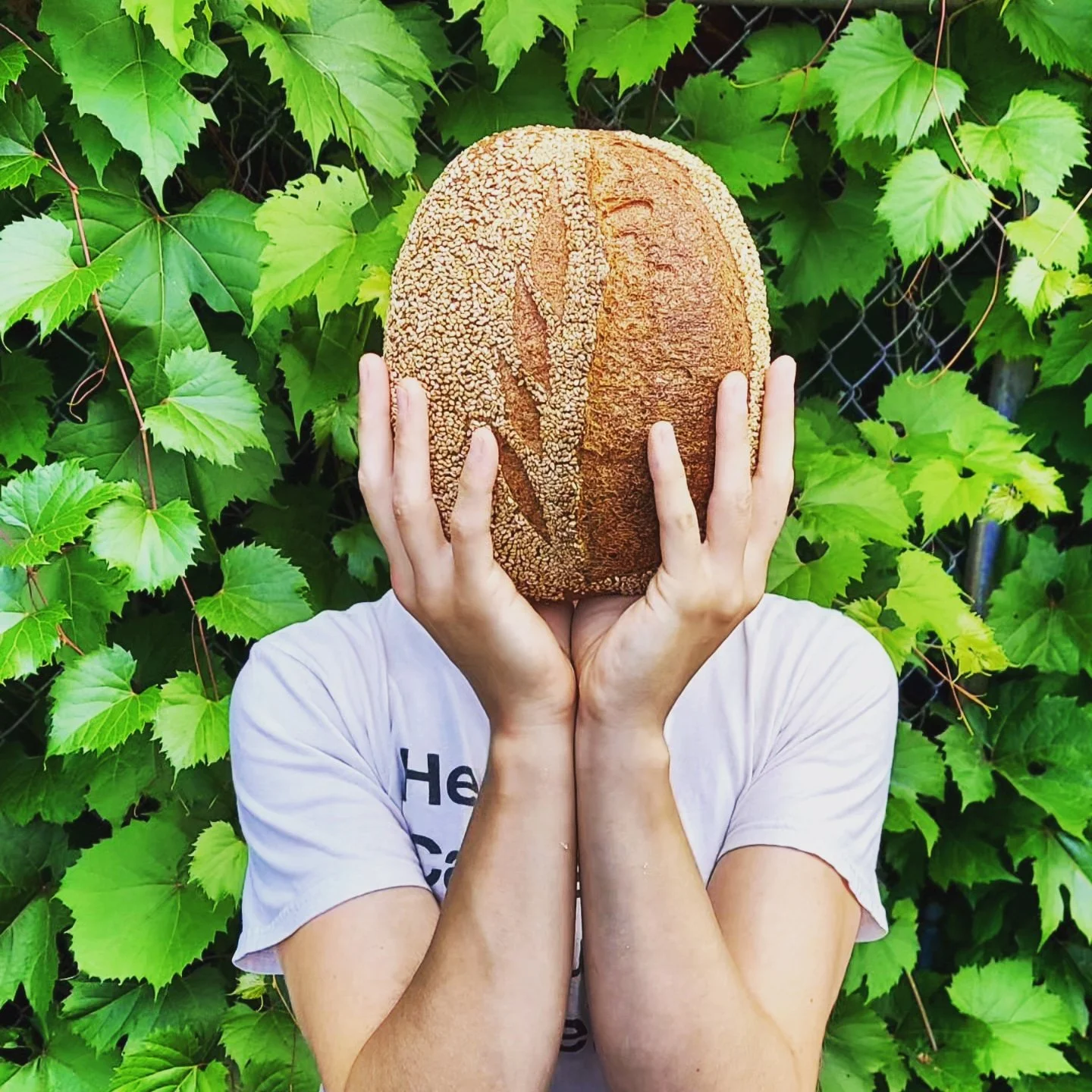 Brake Bread | Bread, Pastries & Coffee | Community Supported | Delivery ...
