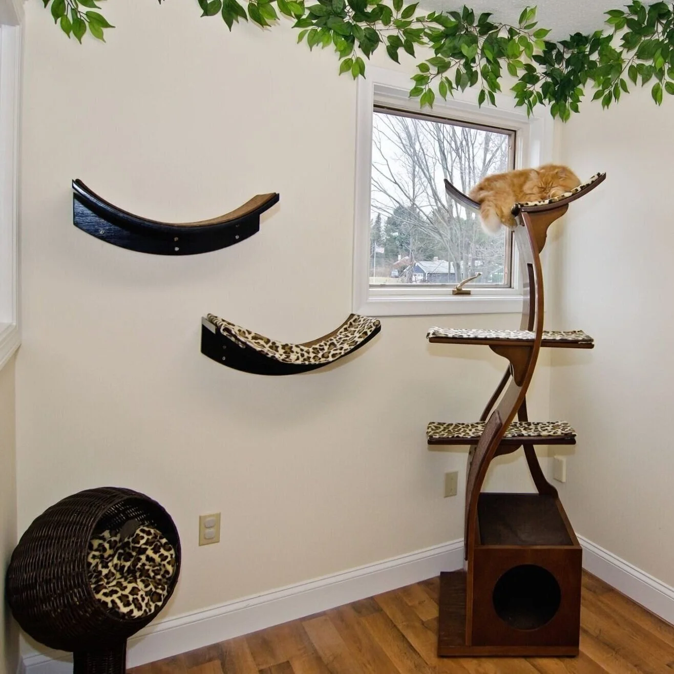 Luxury Cat Boarding & Grooming in Avon CT | Cat's Meow Resort