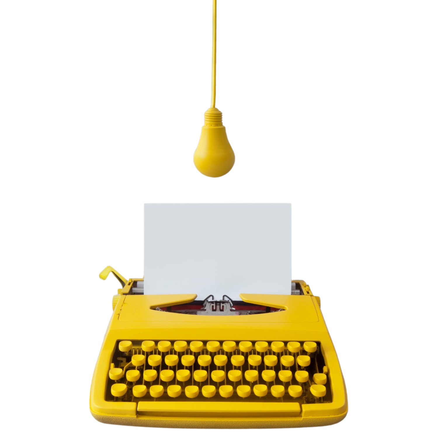 COIN South | Collaborative Innovation Network Southland