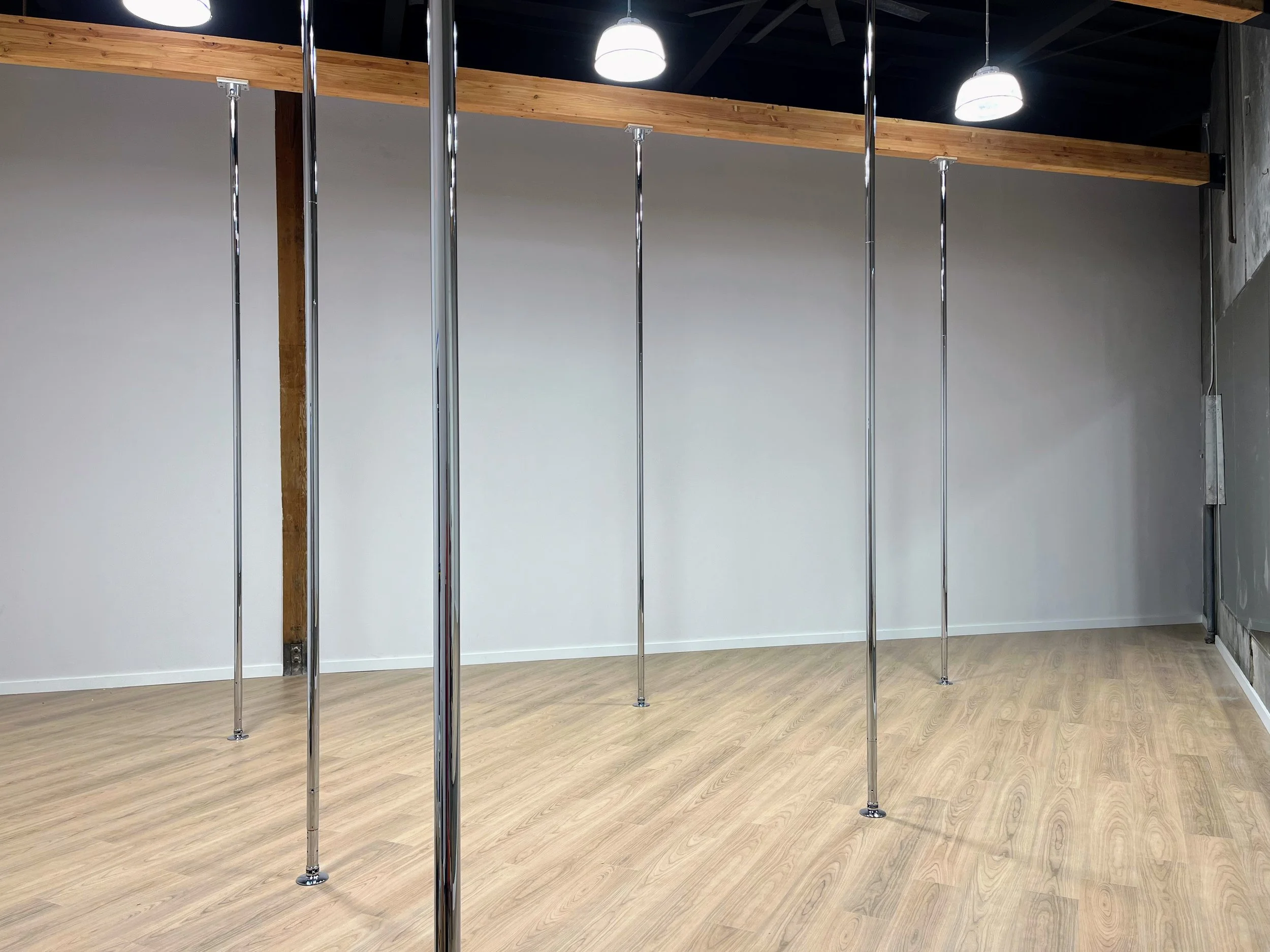 Meet Our Instructors — Elevar Pole & Fitness
