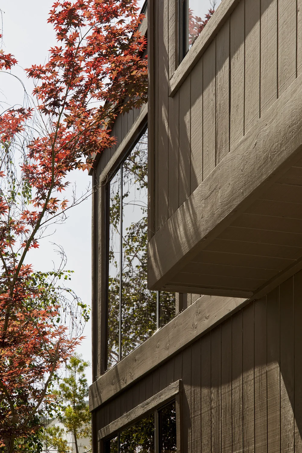 Treehouse Home Renovation & Restoration | Studio City, California Hills ...
