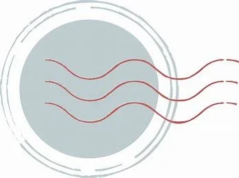 Dear Wanda — Studiocoldpens