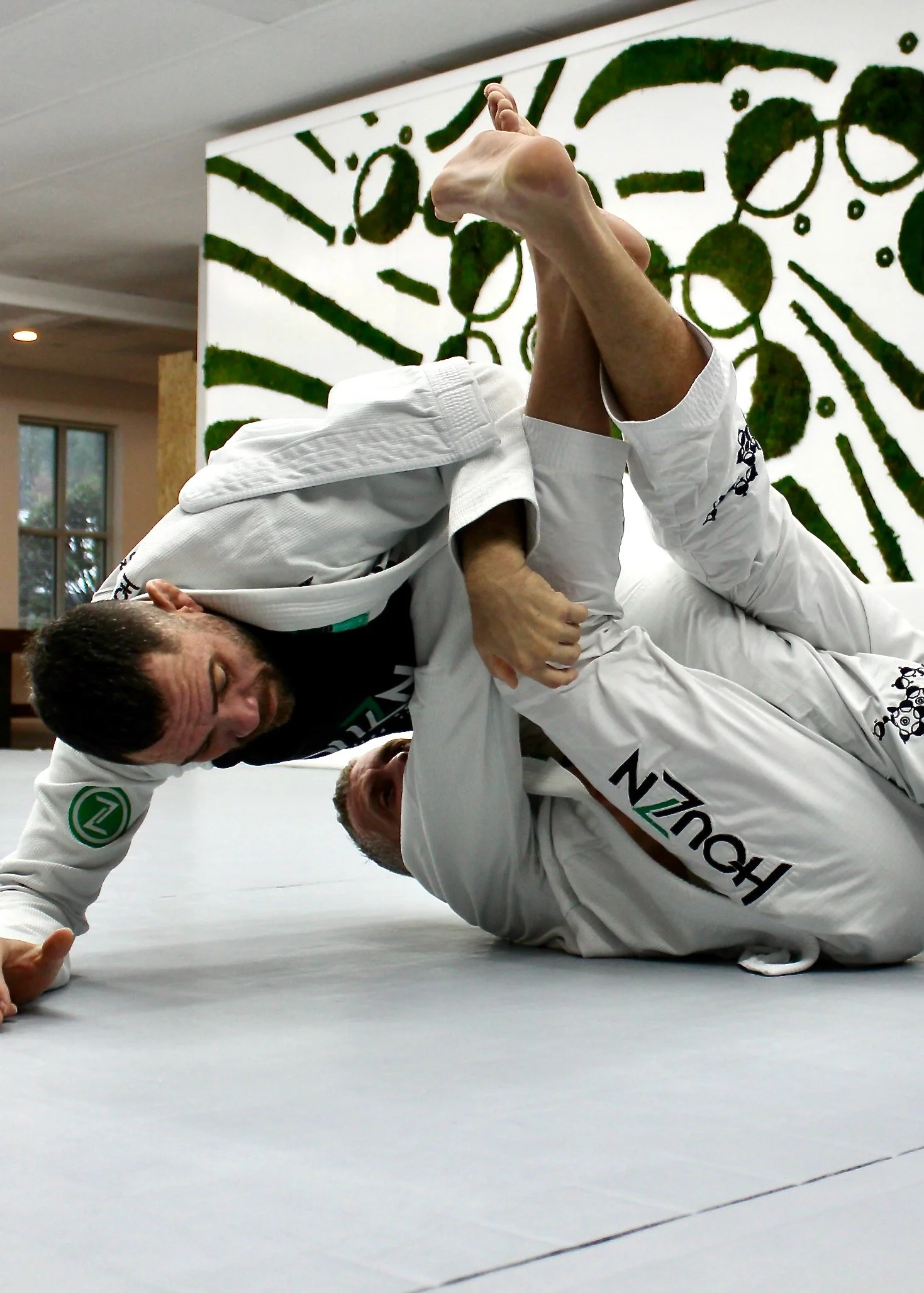 Power of Jiu Jitsu — Houzn Jiu Jitsu