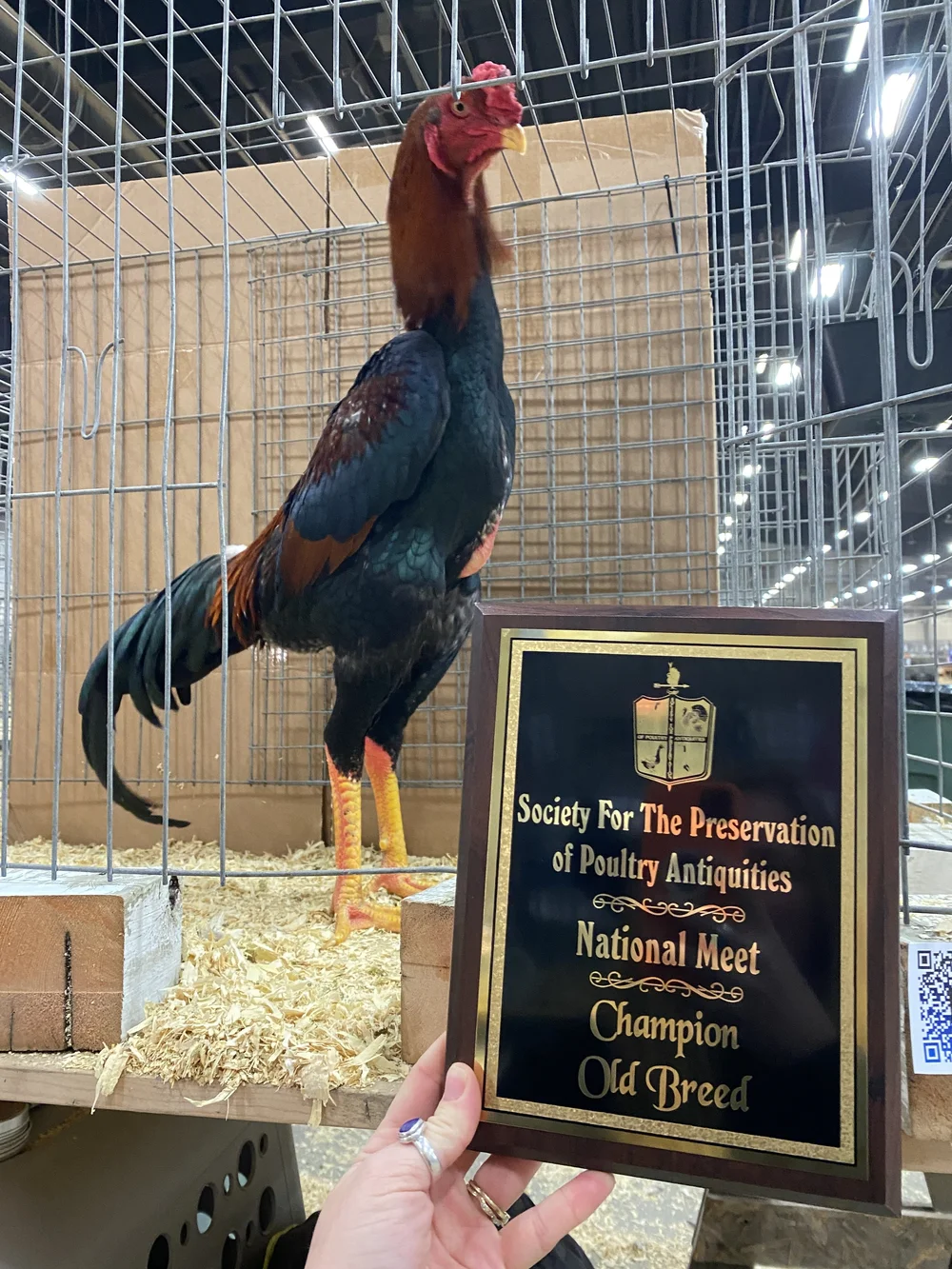 The Ohio National — Gamefowl Conservation Network