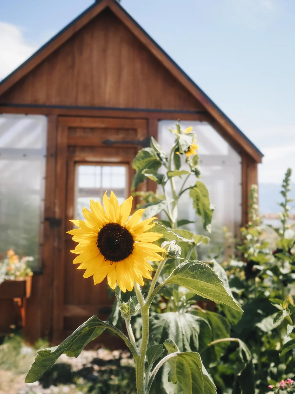 About — Frontier Rustic Design