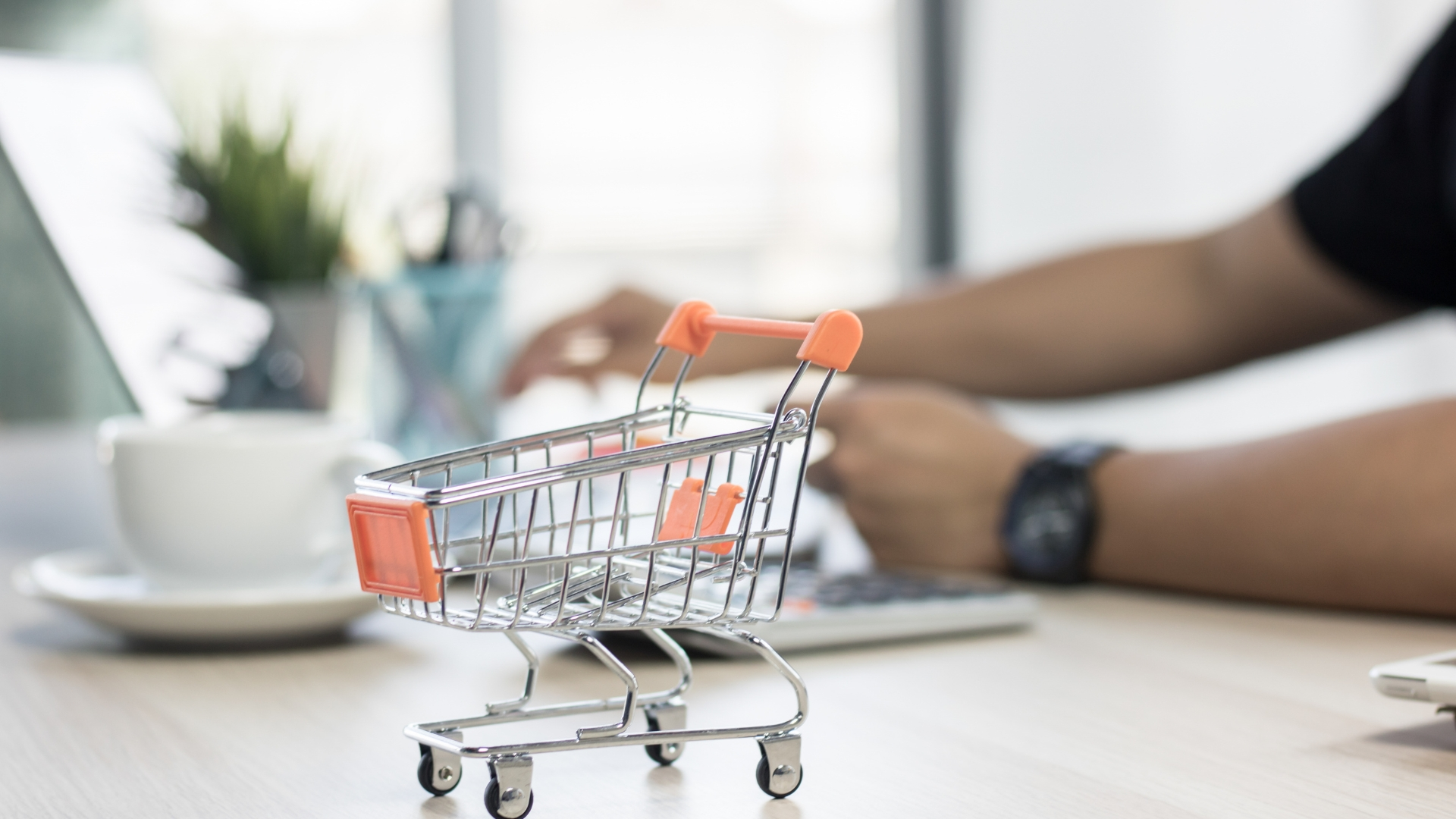 The Rise of Conscious Consumers | Sustainable Marketing and Purpose ...