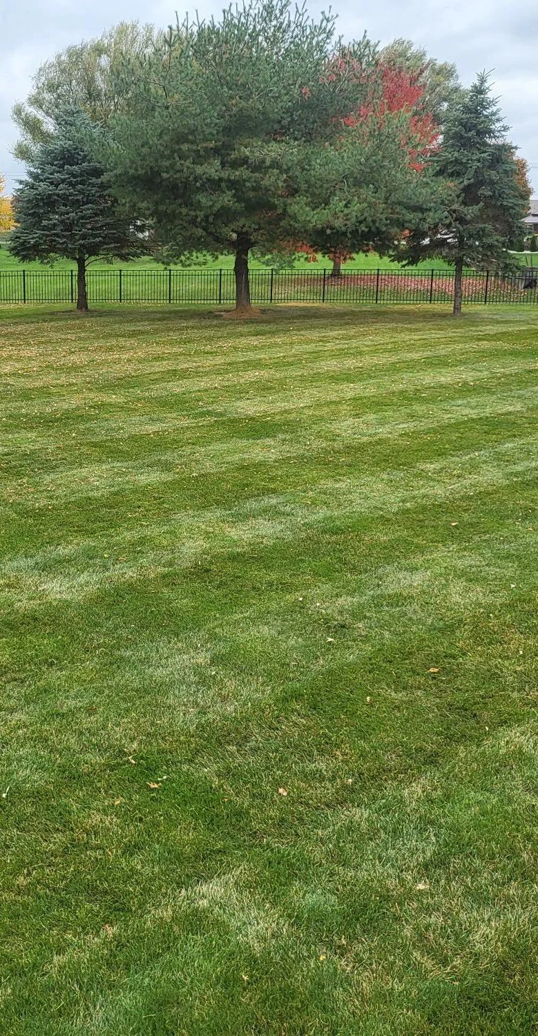 Portfolio — Tough Turf Solutions