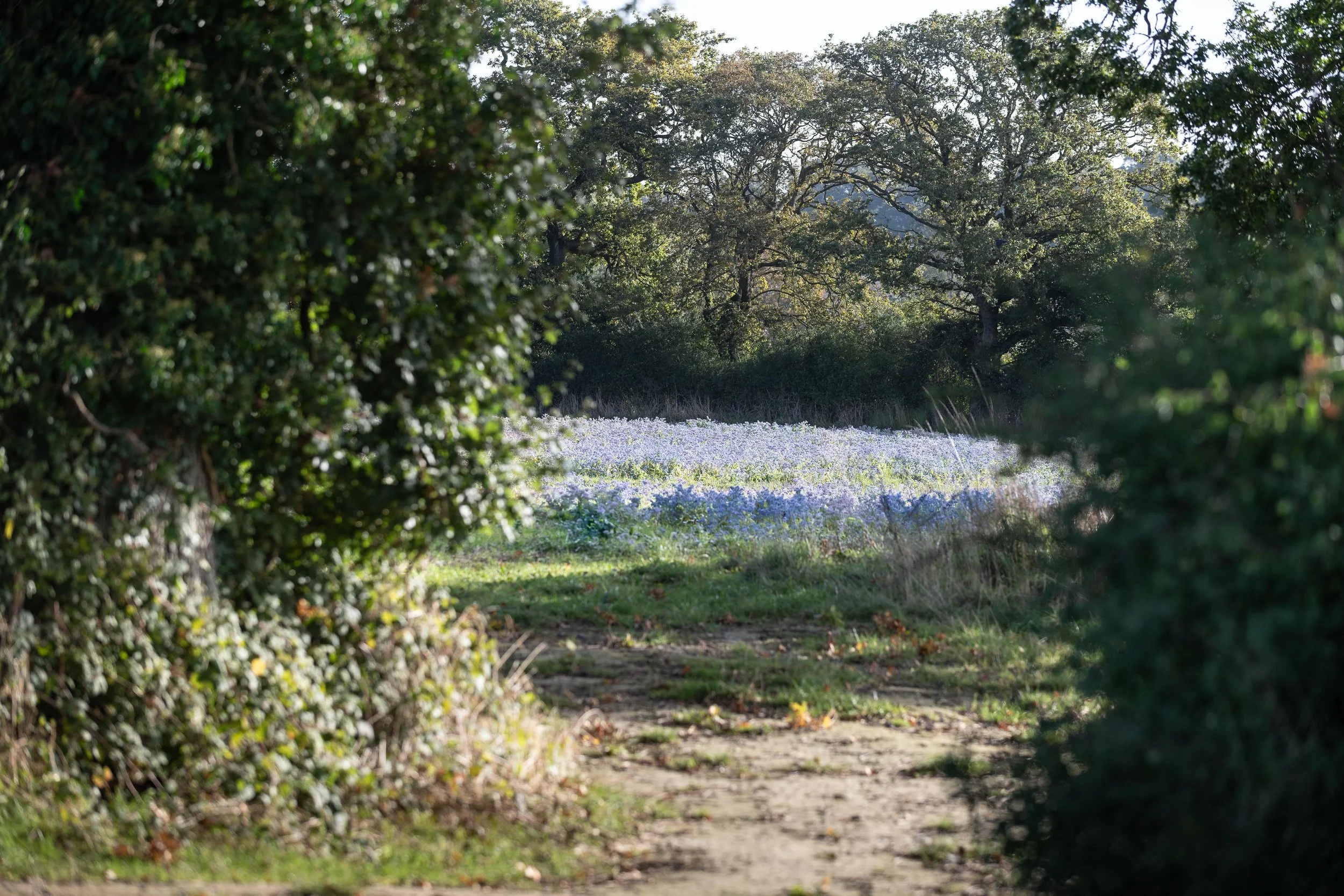 History — Manydown Rural Estate