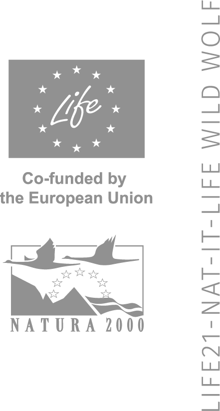 Addressing Wolf Habituation in Parnitha National Park: LIFE Wild Wolf ...