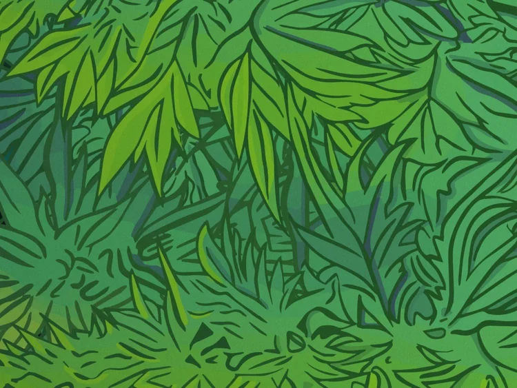 National Cannabis Festival