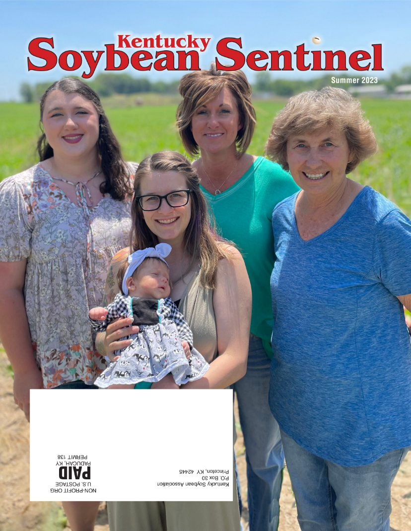 Kentucky Soybean Sentinel — Kentucky Soybean