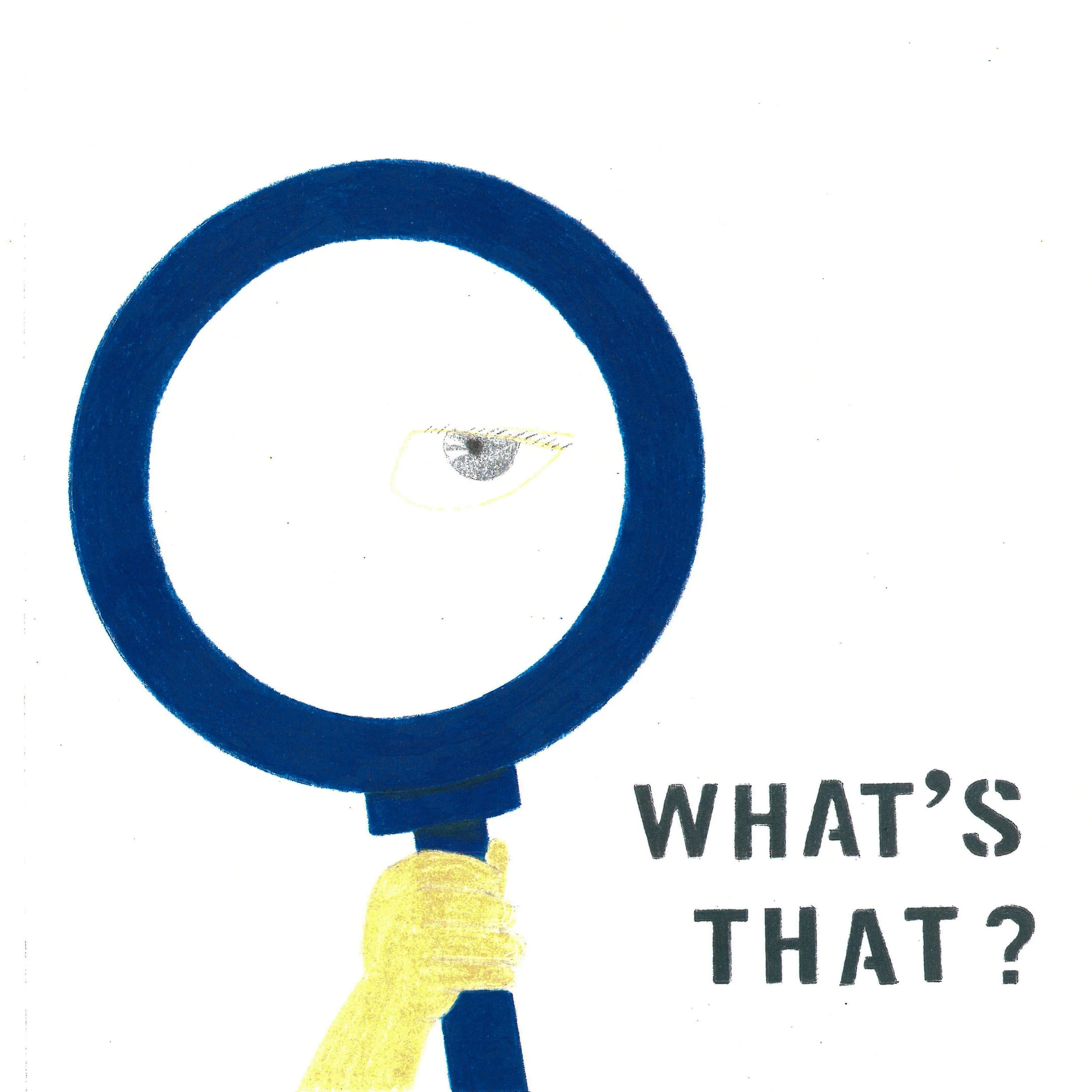 What's That? - A Visual Science Book for Toddlers — Visual Learning ...