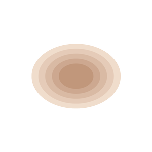 About Jaybird — Movement, Music, Sensation — Jaybird Studio