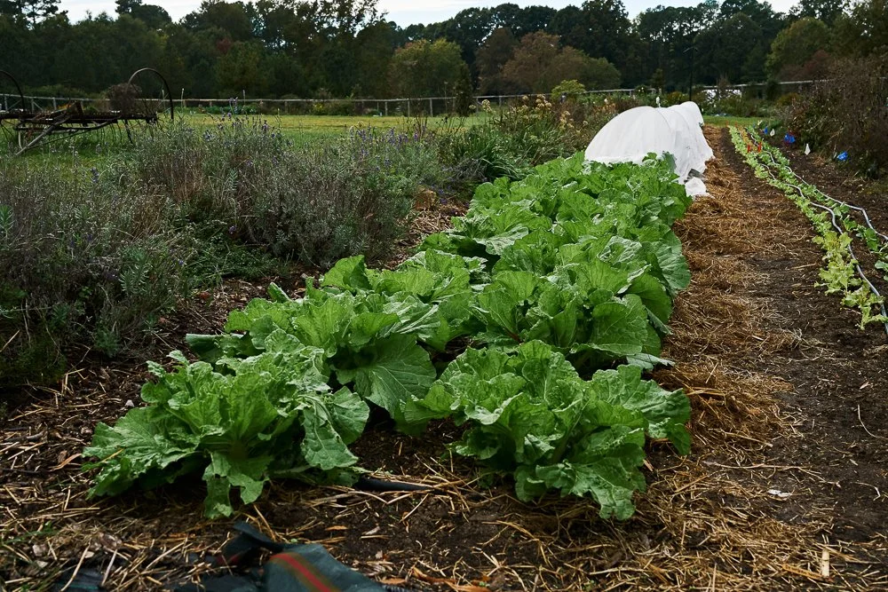 Burkett Farm