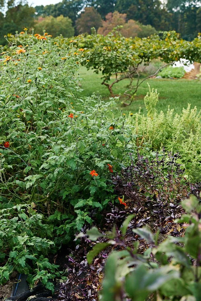The Farm — Burkett Farm