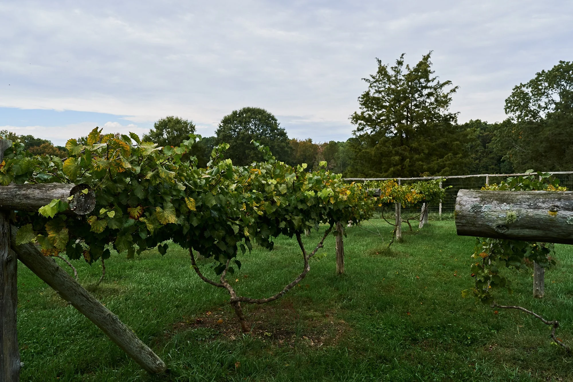 Burkett Farm